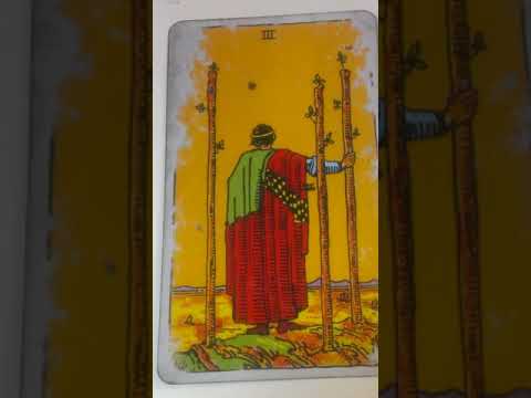 The 3 of Wands as Feelings in a Love Reading