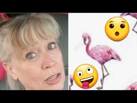 A pink flamingo in the Rio Grand?