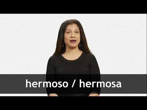 English Translation of “HERMOSO” | Collins Spanish-English Dictionary