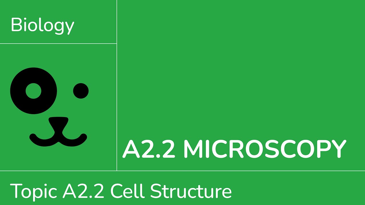 A2.2 Microscopy [IB Biology SL/HL]