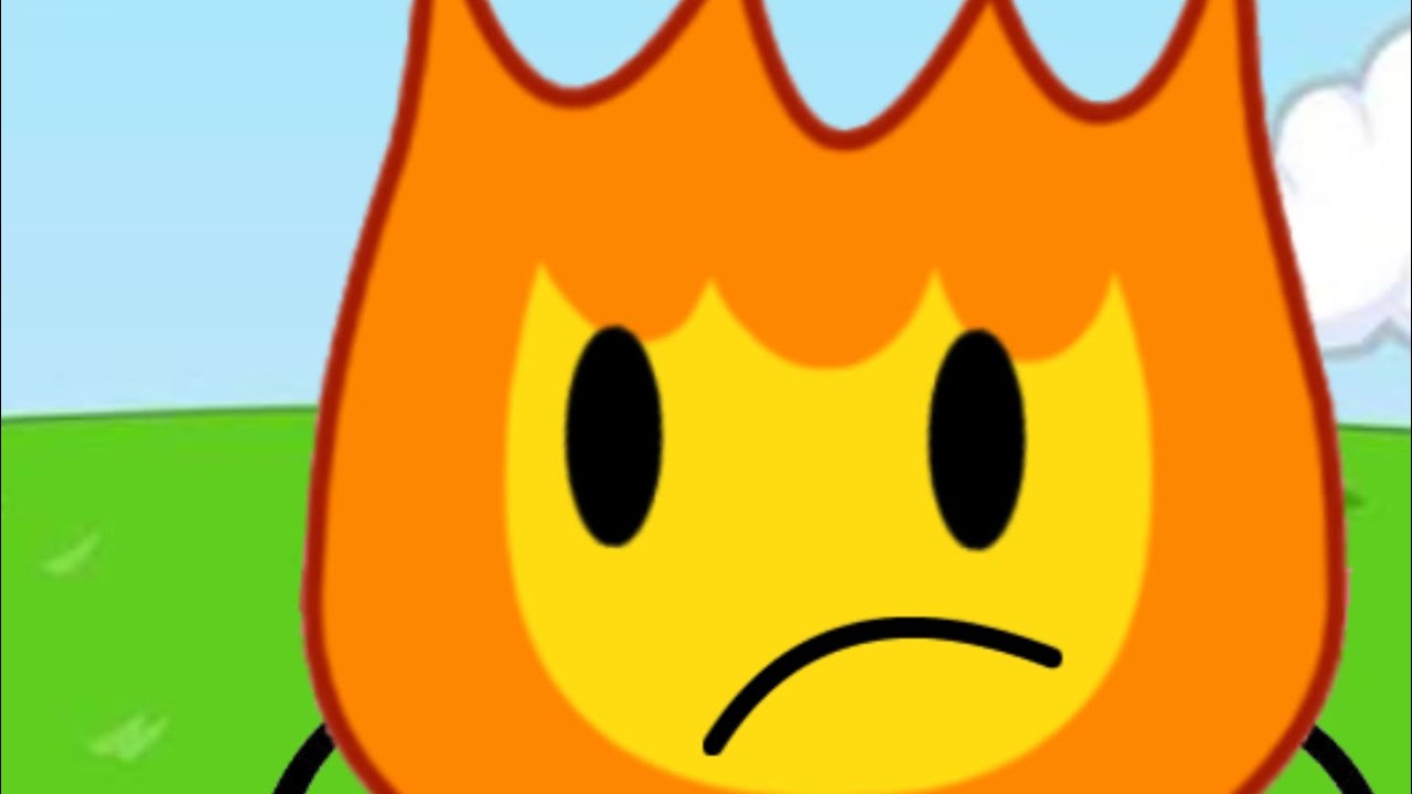 Bfdi asset test