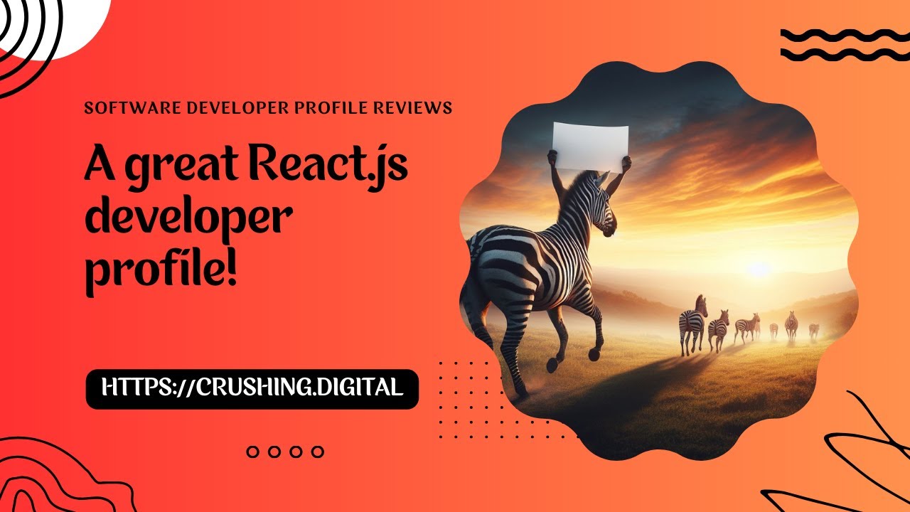 React / TypeScript / Next.JS Developer Profile Review