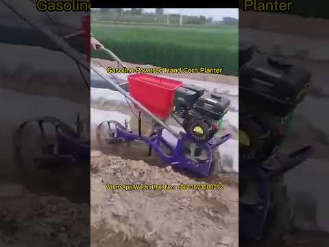 Low Price Gasoline Powered Hand Corn Seed Planter: Wholesale Seeder for Sale #planter #cornfarming