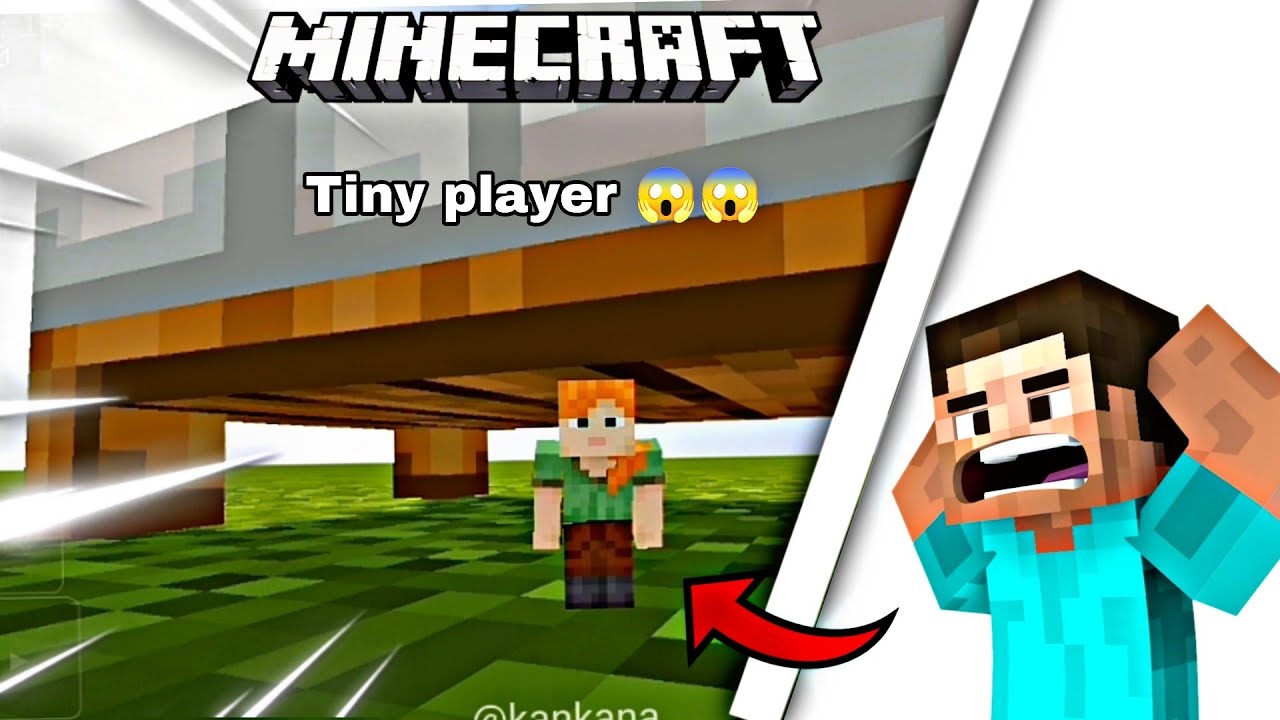 Minecraft 1.21 tiny player 😱😱 command in java version