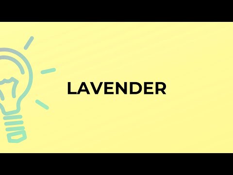 What is the meaning of the word LAVENDER?