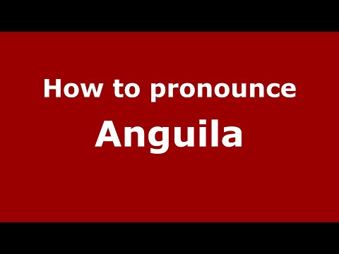 How to pronounce Anguila (Mexico/Mexican Spanish) - PronounceNames.com