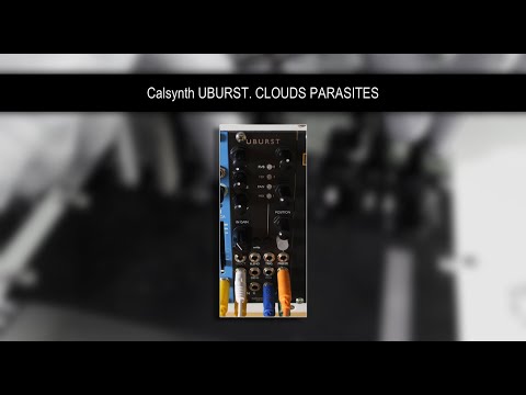 CalSynth uBURST Mutable Instruments Clouds Clone -- White 8hp | Reverb