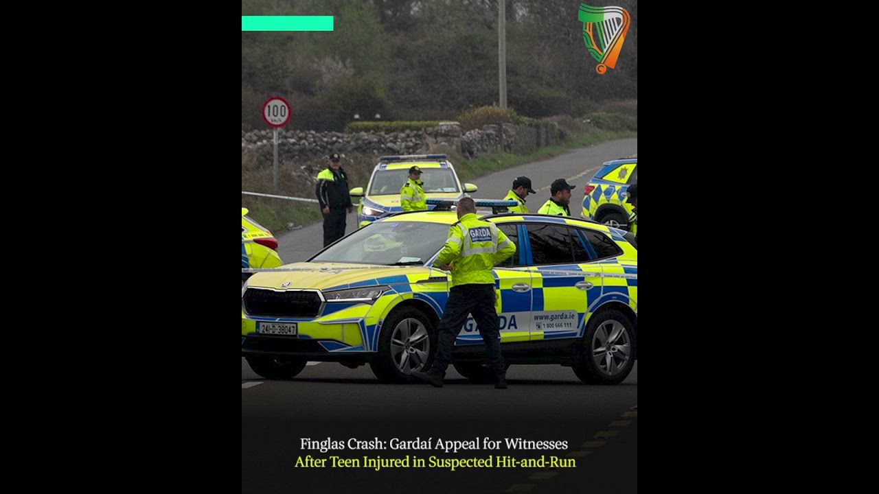 Finglas Crash: Gardaí Appeal for Witnesses After Teen Injured in Suspected Hit-and-Run