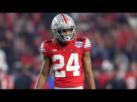 Shaun Wade 2019 Ohio State Highlights 🌰