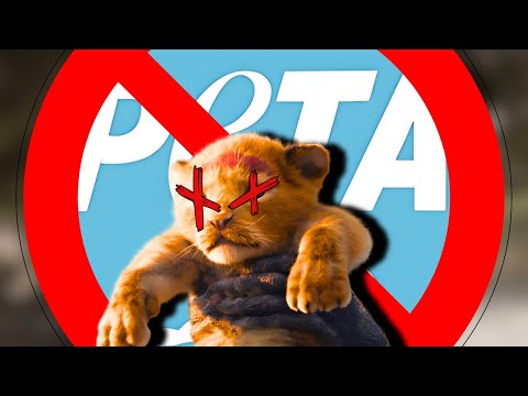 The Dark History of Hollywood's Animal Abuse
