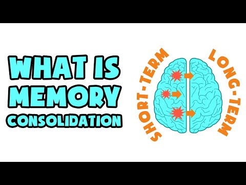 What is Memory Consolidation | Explained in 2 min