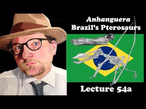 Lecture 54a Anahanguera Brazil's Pterosaurs