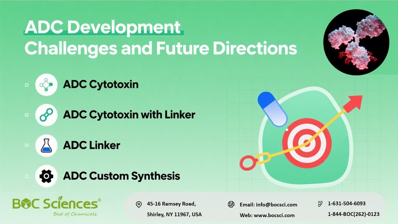ADC Development Challenges and Future Directions - Antibody Drug Conjugates Explained - BOC Sciences