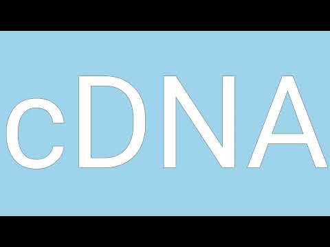 cDNA Definition & Meaning