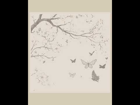 21 Elegant Black & White Nature Clipart Bundle, Birds, Butterflies, Branches for Instant Download...