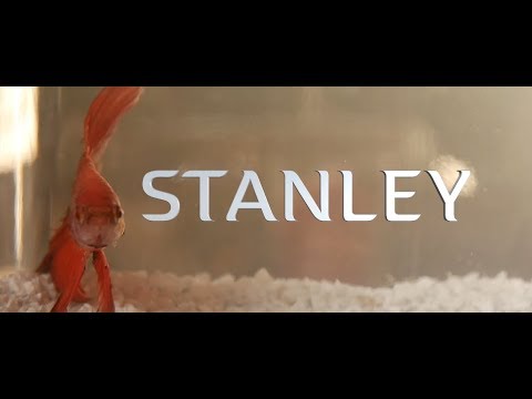 Stanley | LabFilms