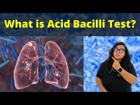 Acid Bacillus Test Explained | Test, Reports and Symptoms Explained