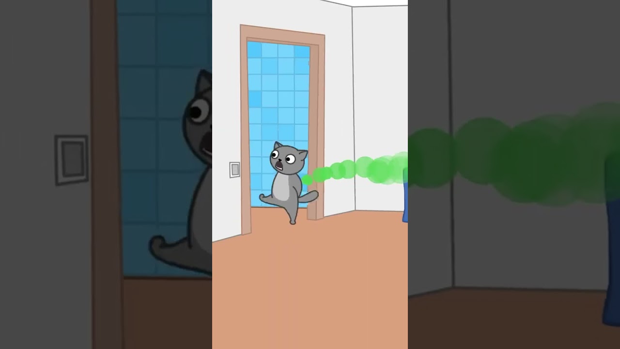 Poop cat 😾💩 siuuuuuuuuuuu!