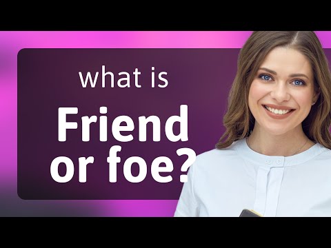 Understanding "Friend or Foe?" in English