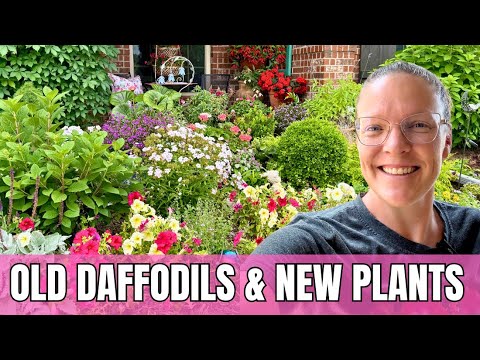 🌼 How & When to Prune Daffodils + Planting Homegrown Ageratum, Coleus & Gaillardia from Seed