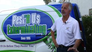 3 Best Pest Control Companies in Tempe, AZ - Expert Recommendations