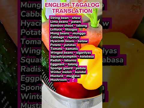 English to Tagalog Translation p63 #translation #learnenglish #vocabulary #fyp