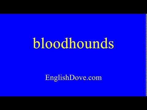 How to pronounce bloodhounds in American English.