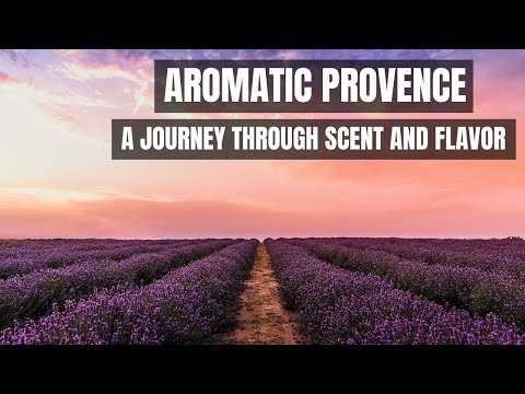 The Herbs of Provence - Known all over the world | myDocumentary