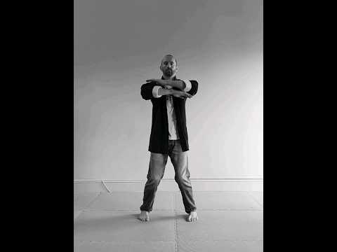 Siu Nim Tao - Wing Chun First Form