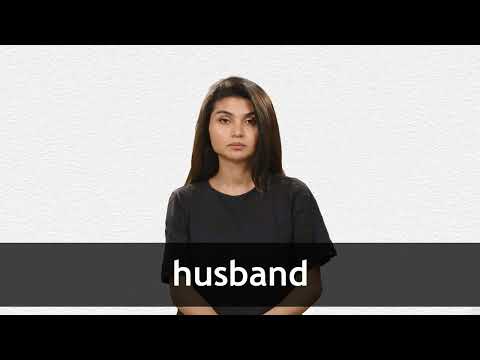 HUSBAND - Definition & Translations | Collins English Dictionary