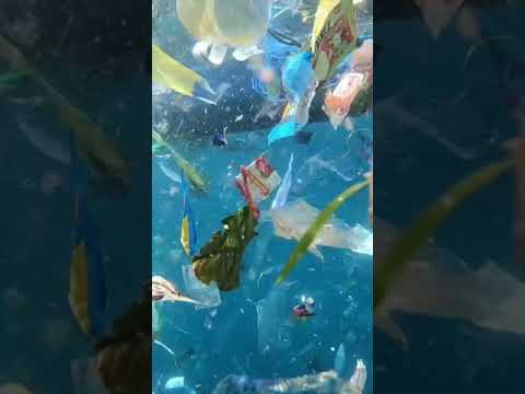 What’s really under the sea - plastic waste