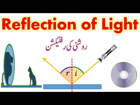 Reflection of Light II Urdu & Hindi II #AmjidTV