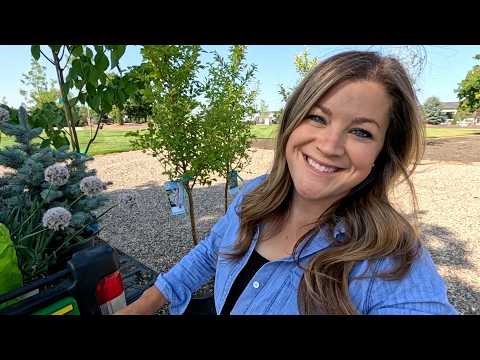 Planting 5 Trees & Hanging Baskets Using New (for 2026) Annuals! 🌳🌲🌺 // Garden Answer