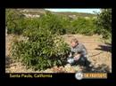 Water Conservation Farming Techniques from the White Dove Farm