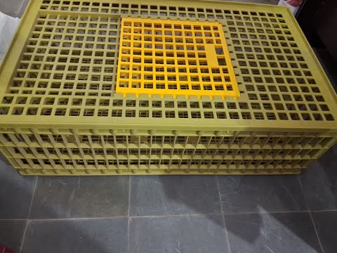 Chicken Transport Box - Poultry Carrier Crate Latest Price ...