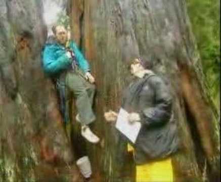 Ali G- Treehuggers