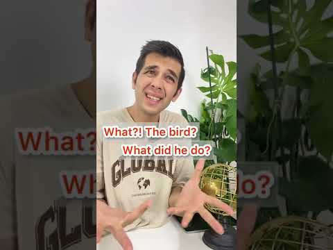English insult idioms you must know! #shorts