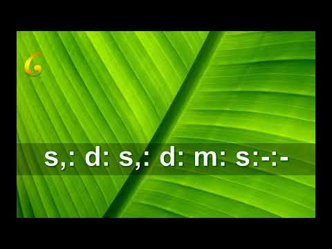 Nigeria we hail thee || Tonic Solfa Notation of the Nigerian National Anthem @kaydeegroove_official