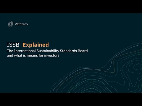 Explained | the International Sustainability Standards Board (ISSB) and what it means for investors
