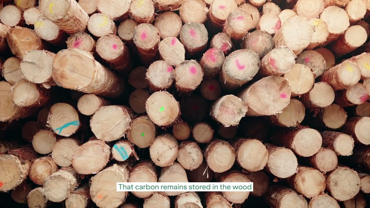 Fascination Wood & Sustainability | Blumer Lehmann | in Englisch