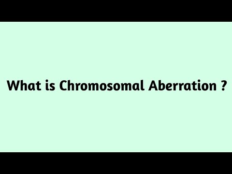 What is Chromosomal Aberration ?