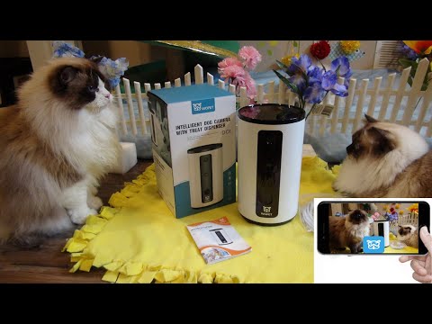 WOpet TitBit Interactive WiFi Dog Camera and Treat Dispenser Review