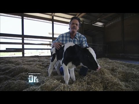 Which Milk is Right for You?