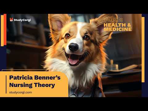 Patricia Benner’s Nursing Theory - Research Paper Example