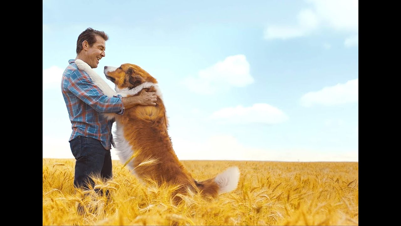 A Dog's Purpose (2017) - Movie Quote