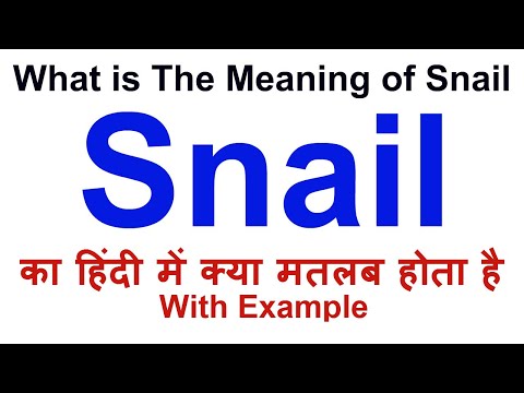 Snail Meaning in Hindi | Snail Definition | Snail Ka Matlab Kya Hota Hai | Snail in Hindi