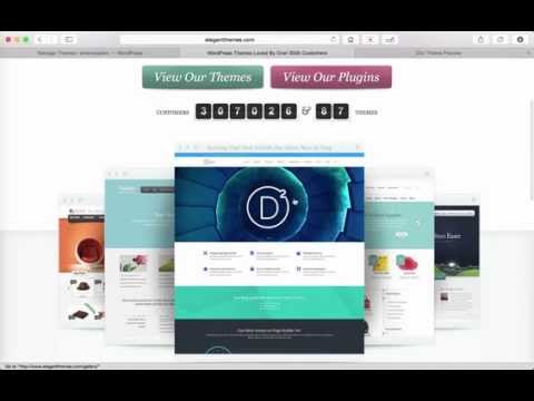 Installing Divi Theme for WordPress