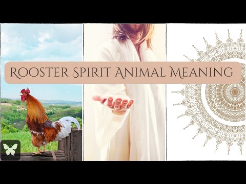 Rooster Symbolism Spirit Animal Meaning - does rooster have a message for you?