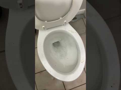 Resident toilet back up unclogged flush test to clear line on property
