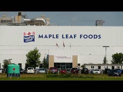 Union calls for shutdown at Manitoba meat processing plant